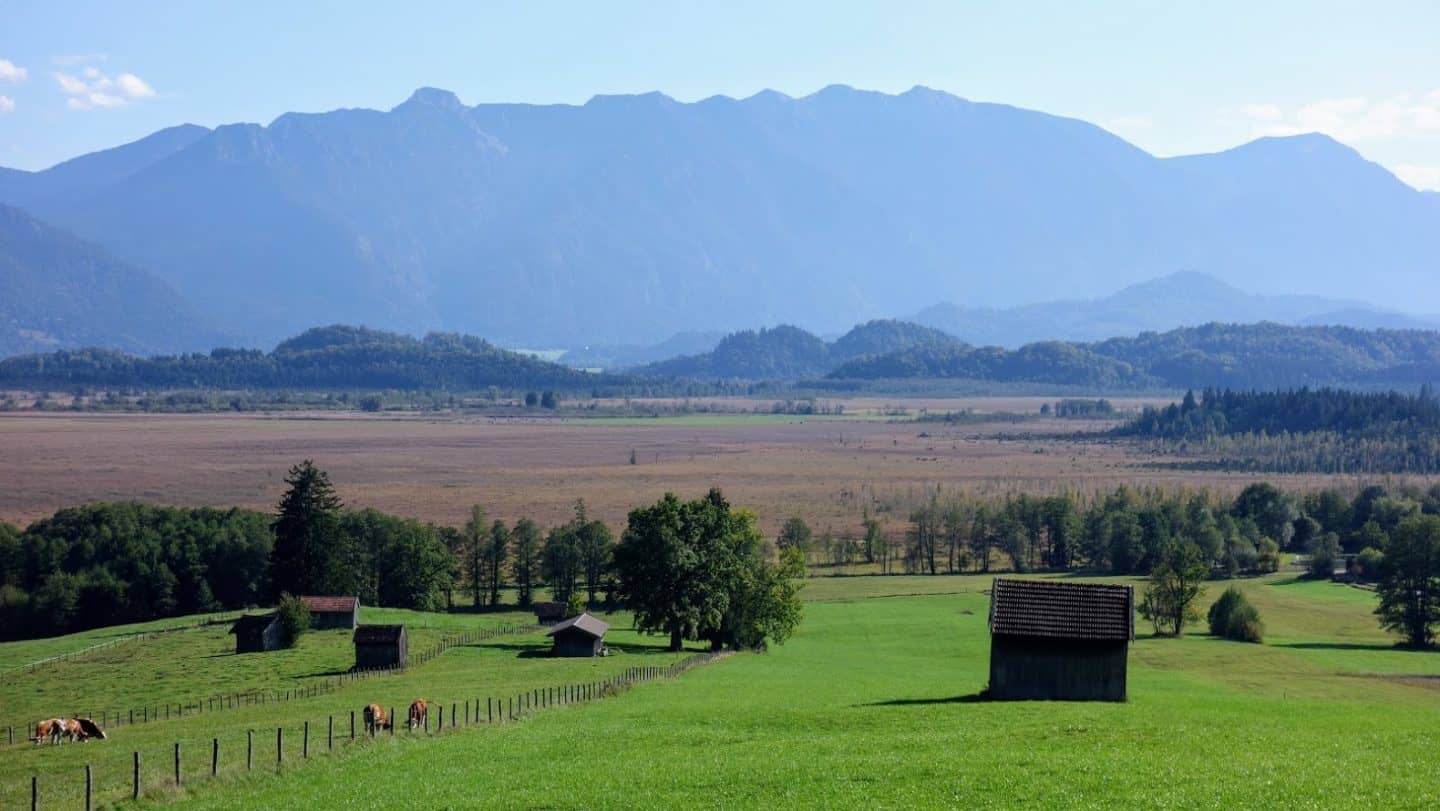 Murnauer Moos Rundwanderung im Blauen Land / Murnau