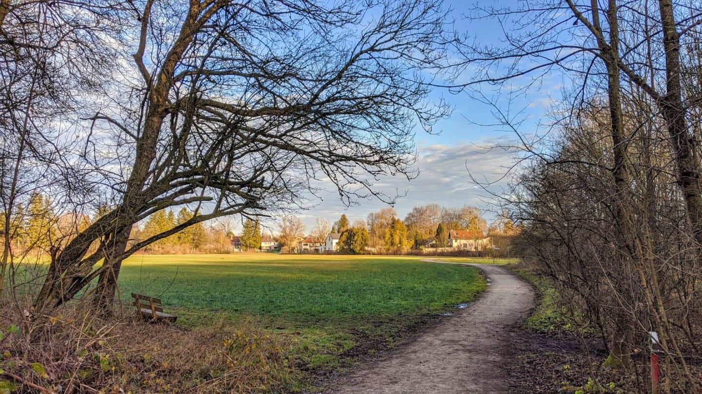 Rundwanderung durch die Aubinger Lohe und Moosschwaige