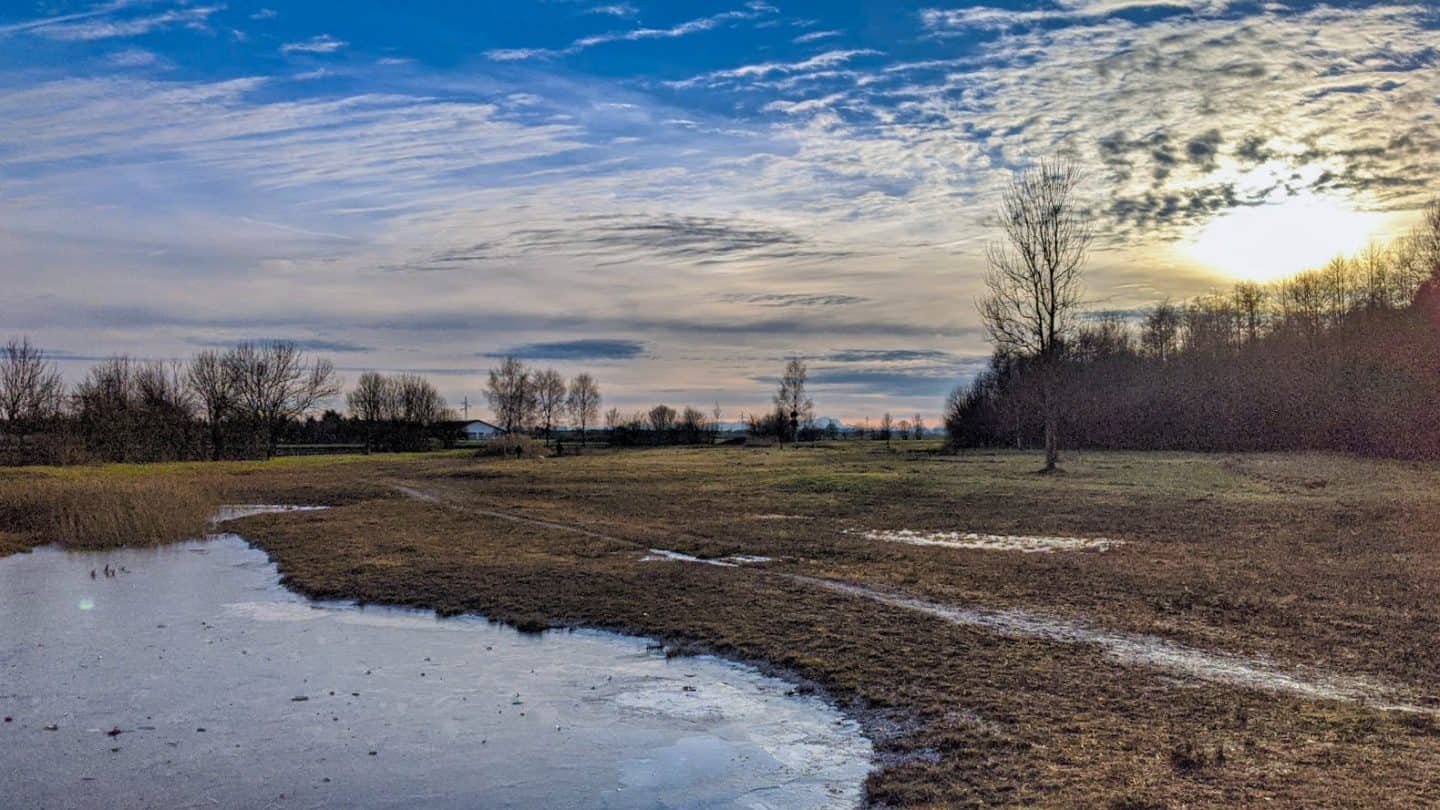 Rundwanderung durch die Aubinger Lohe und Moosschwaige