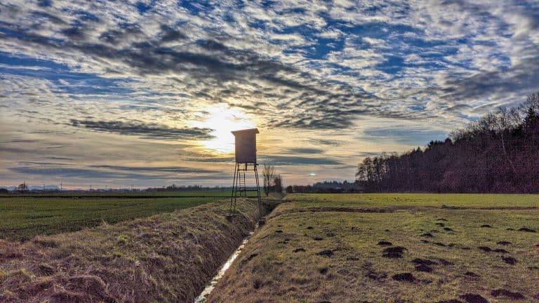 Rundwanderung durch die Aubinger Lohe und Moosschwaige