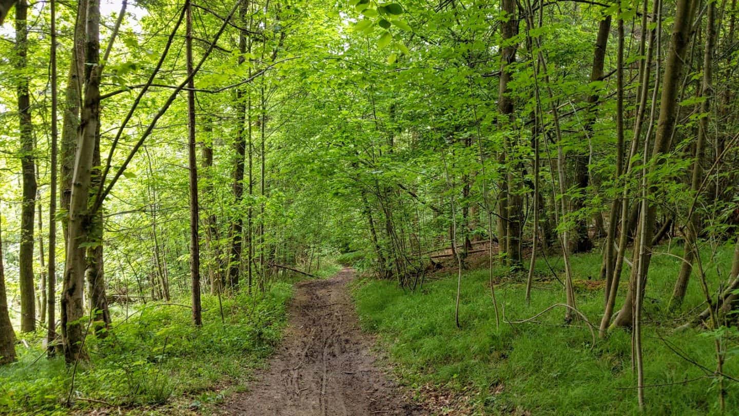 Rundwanderung durch die Aubinger Lohe und Moosschwaige