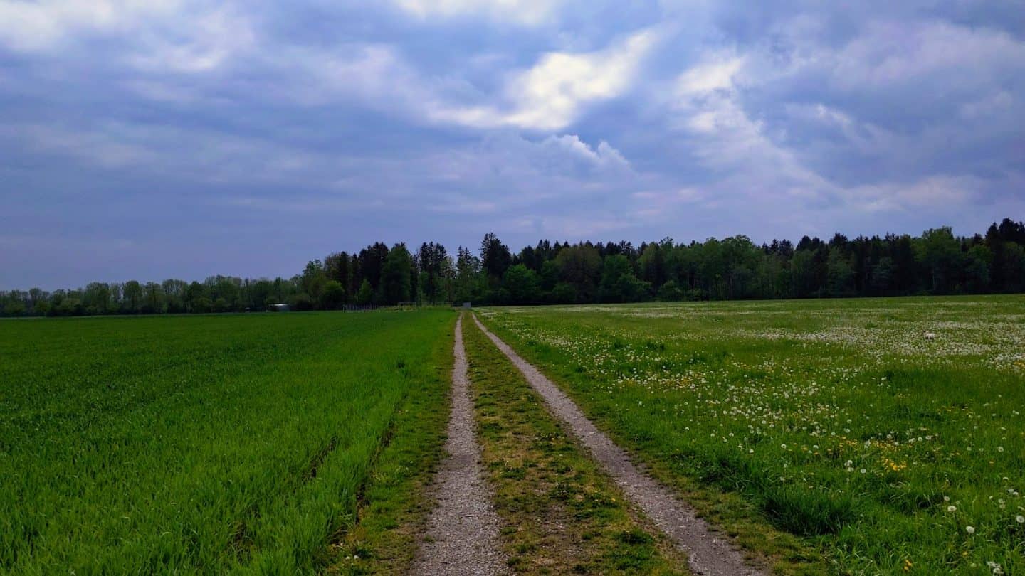 Rundwanderung durch die Aubinger Lohe und Moosschwaige