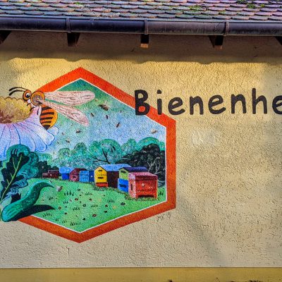 Erlebniswanderung durch die Aubinger Lohe | Hurra, draussen!