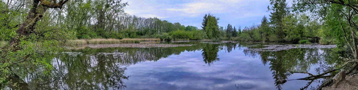 Rundwanderung durch die Aubinger Lohe und Moosschwaige