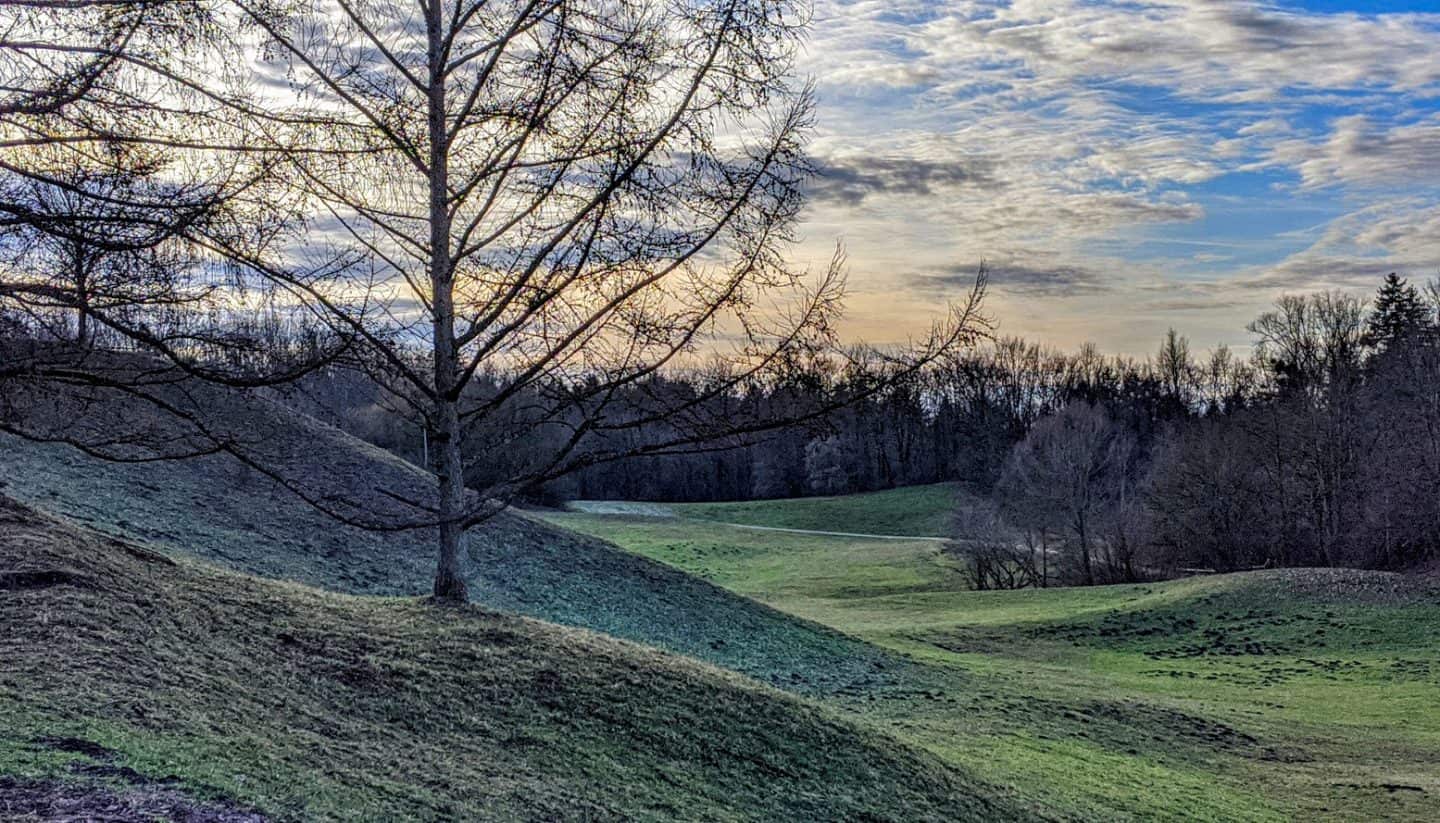 Rundwanderung durch die Aubinger Lohe und Moosschwaige