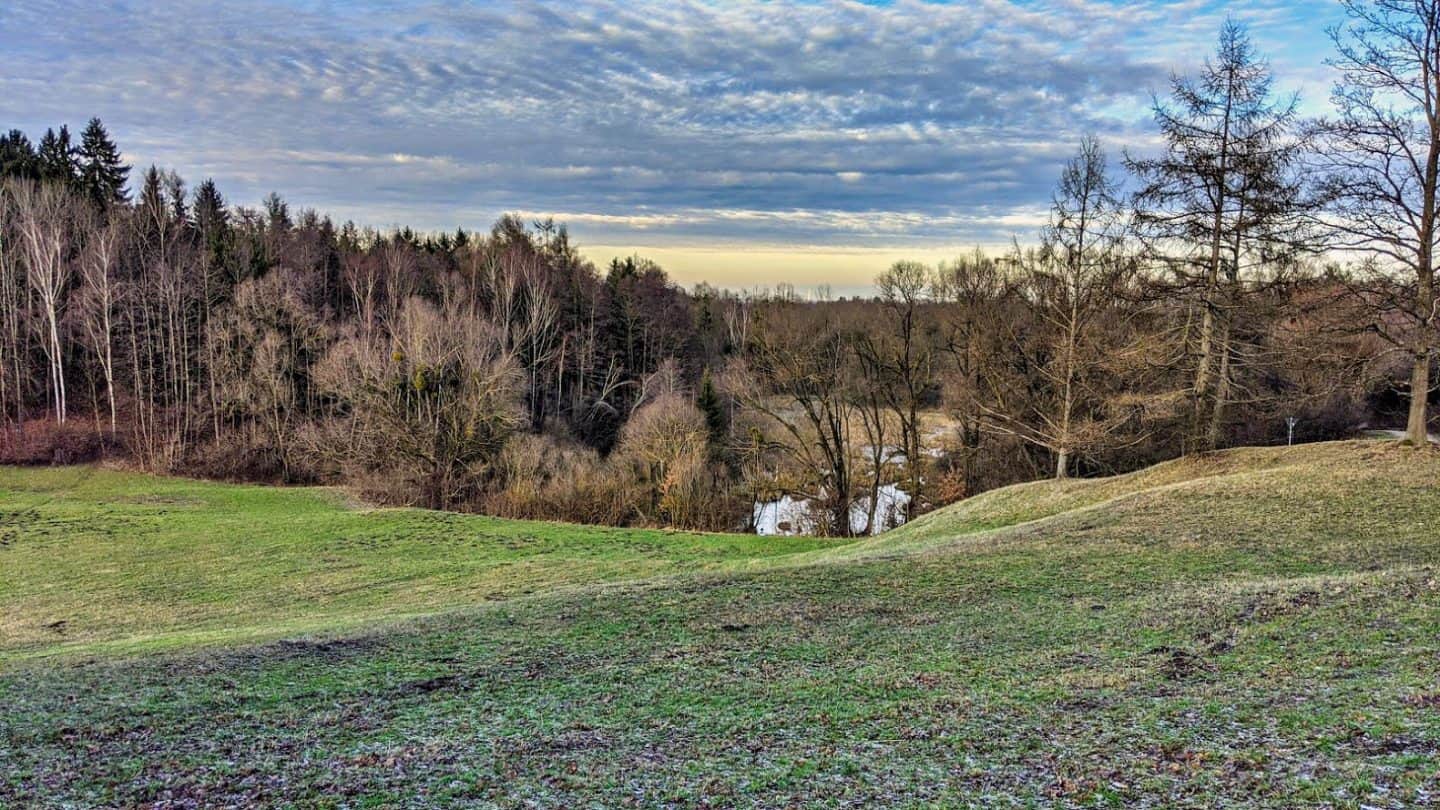Rundwanderung durch die Aubinger Lohe und Moosschwaige