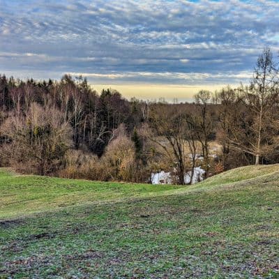 Mikrokosmos für Natur & Geschichte: Luftschnappen in der Aubinger Lohe ...