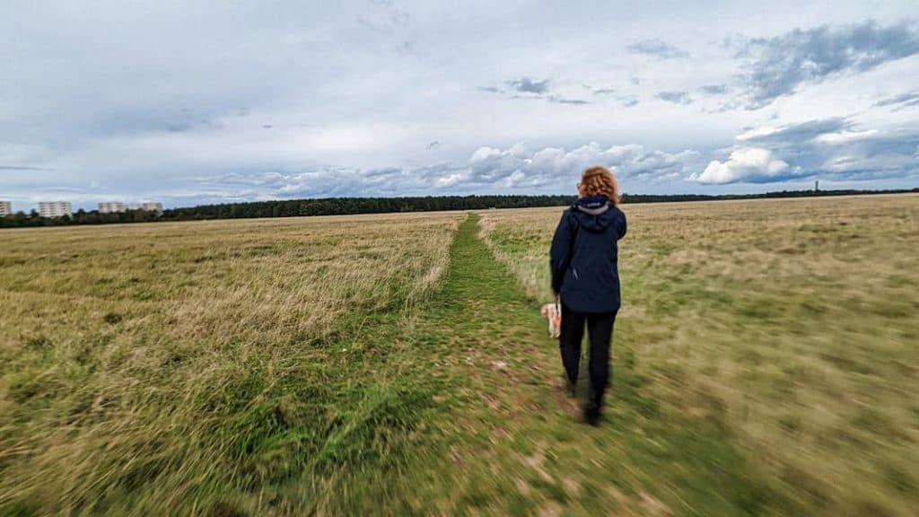Spaziergang auf der Panzerwiese / Feldmoching