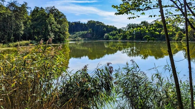 Rundwanderung bei Schloss Seefeld am Pilsensee