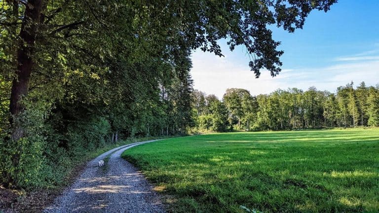 Rundwanderung bei Schloss Seefeld am Pilsensee