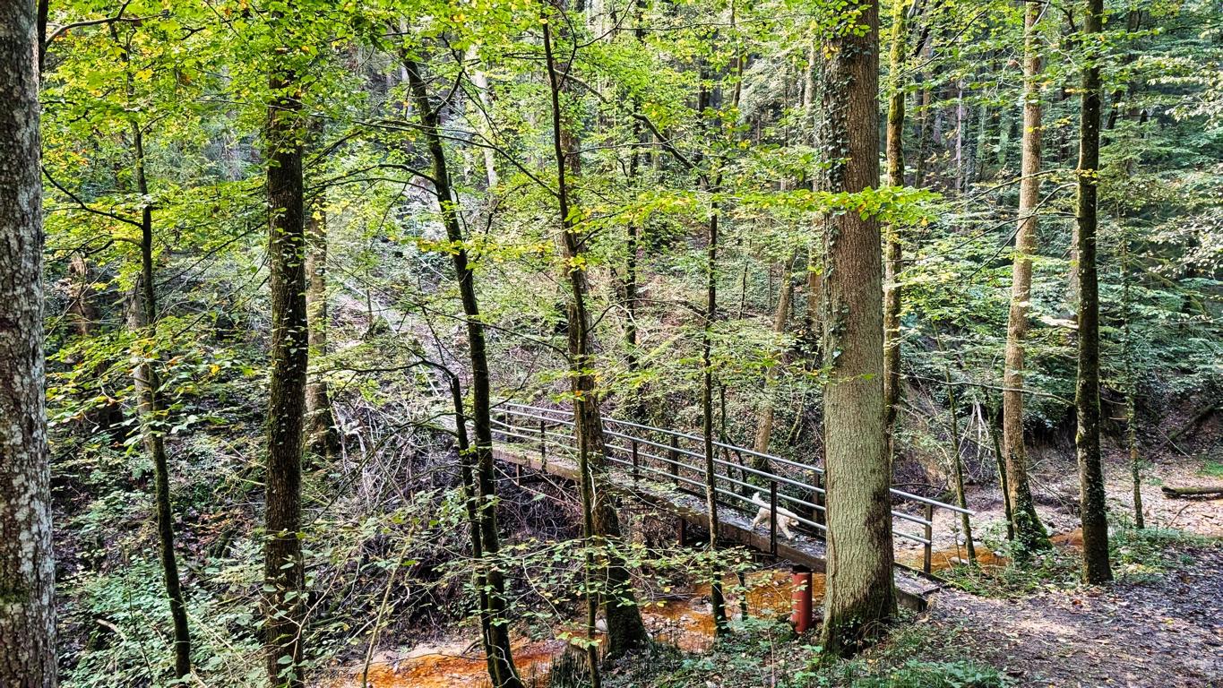 Kurze Wanderung auf und um den Irschenberg