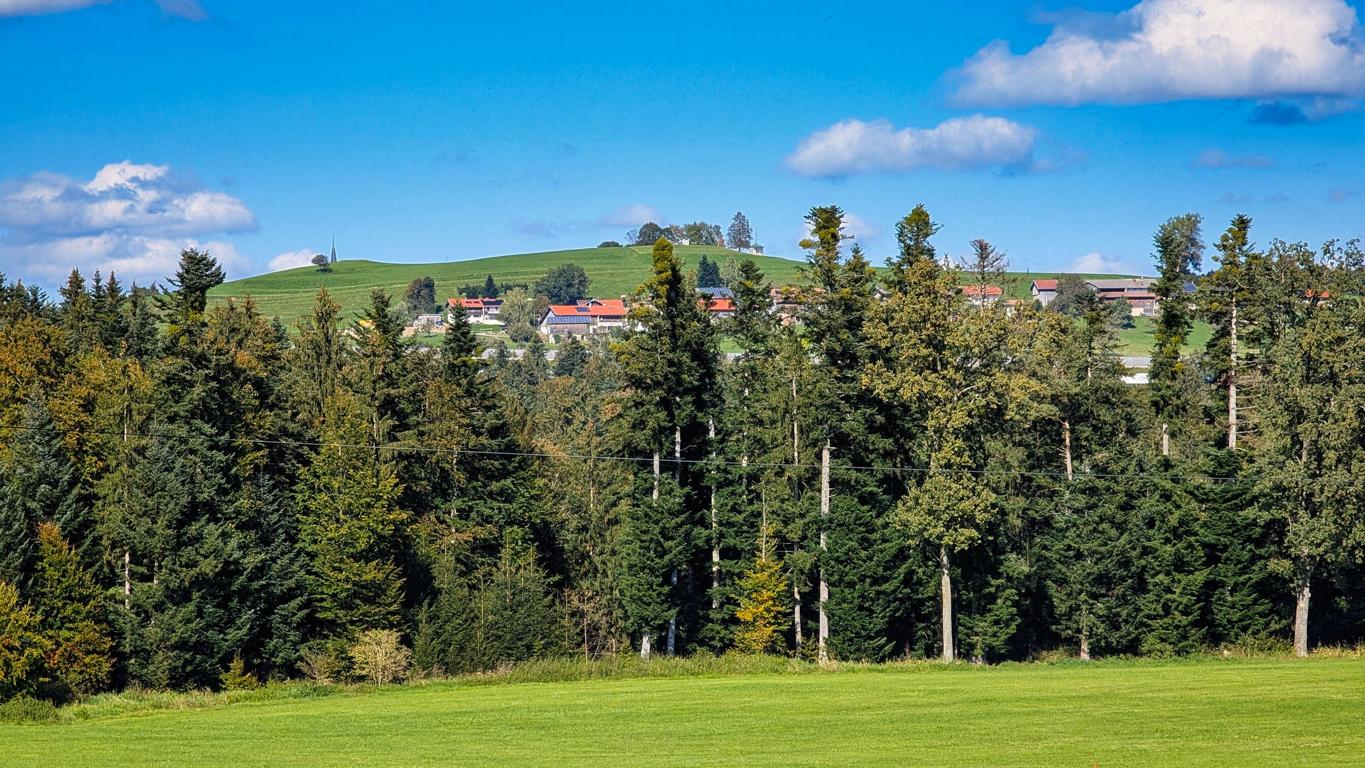 Kurze Wanderung auf und um den Irschenberg